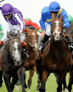 Betfred South Africa | Online Sports Betting | Best Bonuses